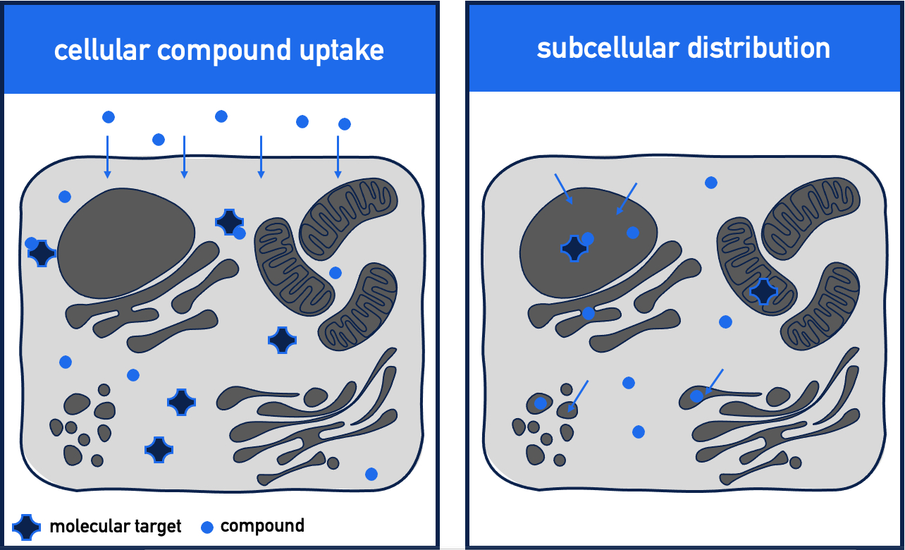 Quantification - QTM BioSciences